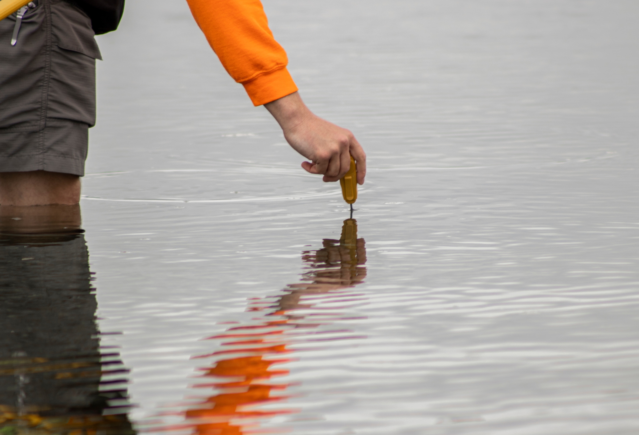 Microbial Source Tracking: Unmasking the Source of Water Pollution