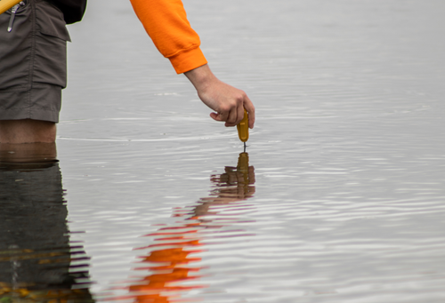 Microbial Source Tracking: Unmasking the Source of Water Pollution