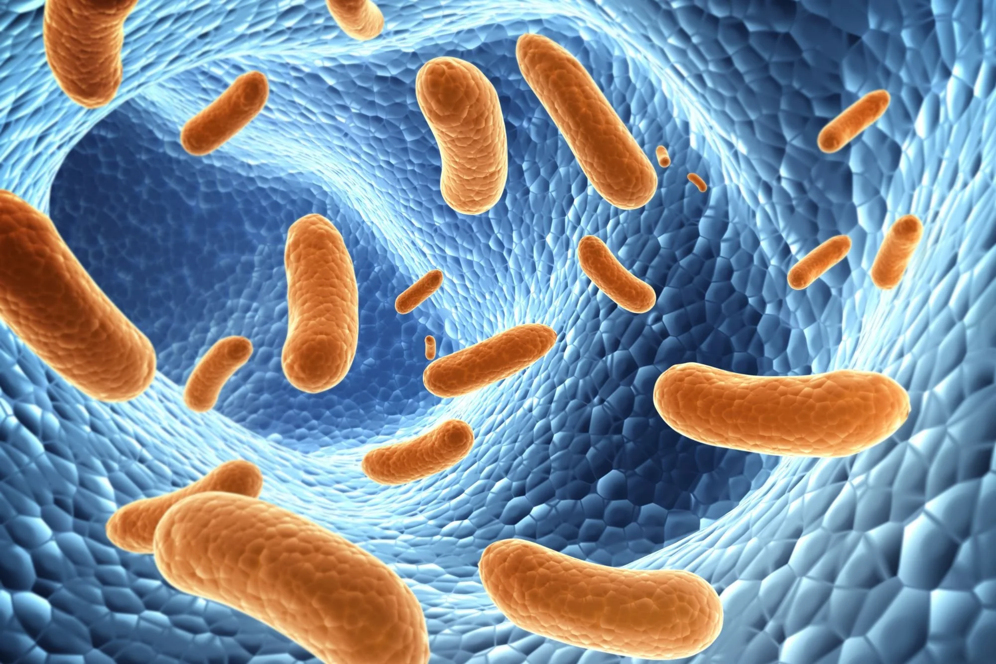 From Bacteria to Viruses: The Different Pathogens Lurking in Our Water ...