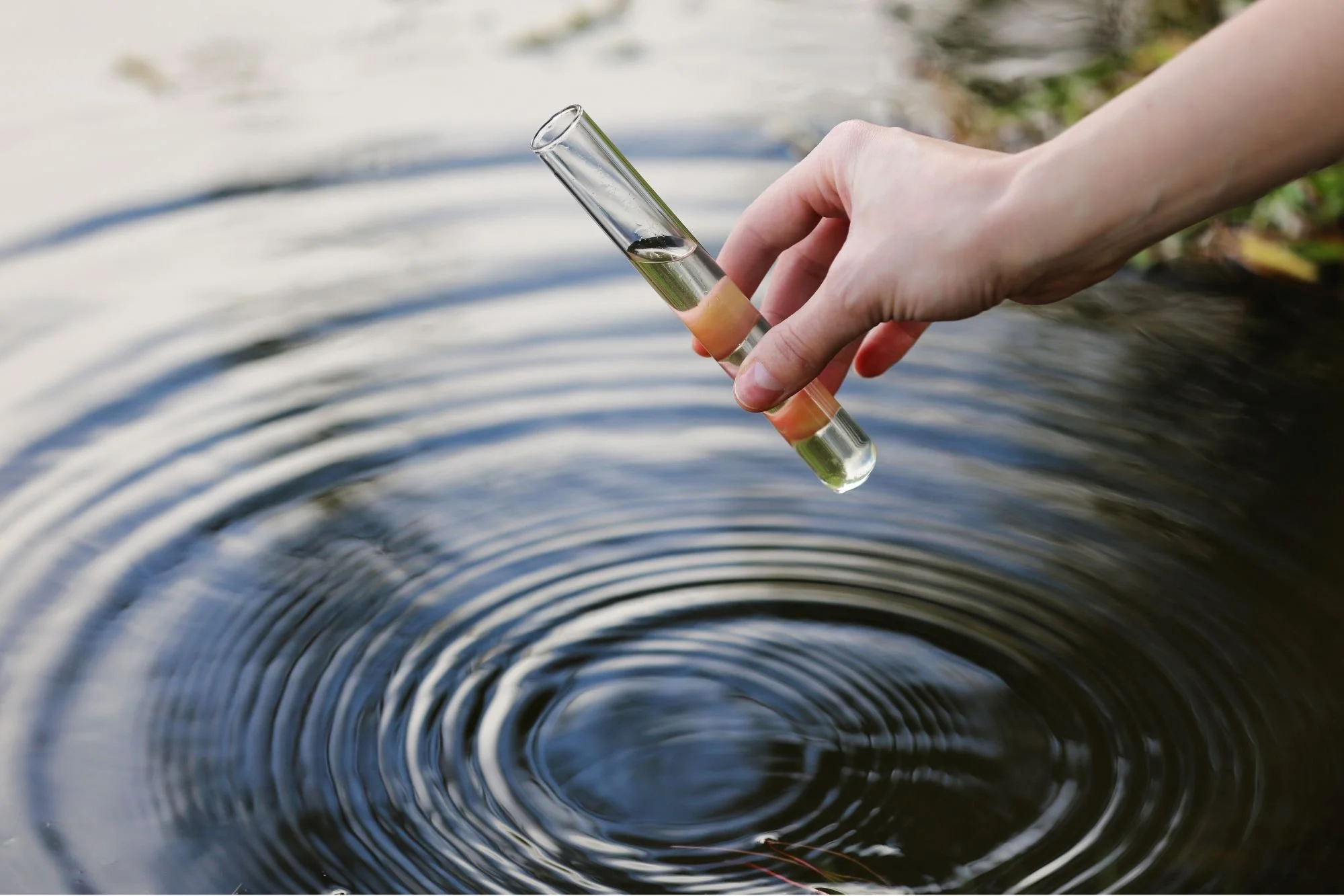 Protecting Public Health: How Kraken Sense Can Detect Harmful Pathogens ...