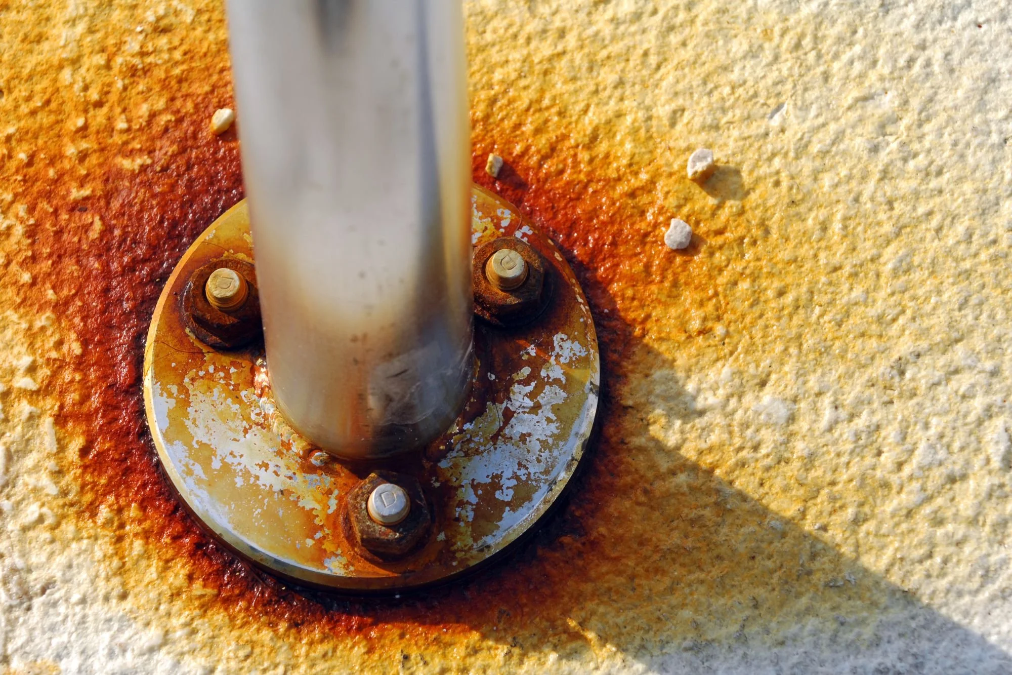 Monitoring Microbiologically Influenced Corrosion (MIC) with Intact ...