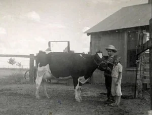 Jarrett Farm Resort & Event Center