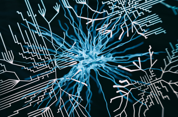 Using Technology to Accommodate Neurodivergent Needs | Embrace the ...