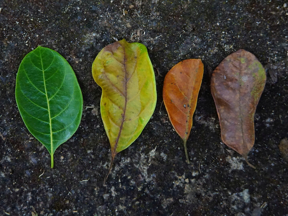 Navigating Transitions with ADHD — Embrace the Muchness LLC - ADHD ...