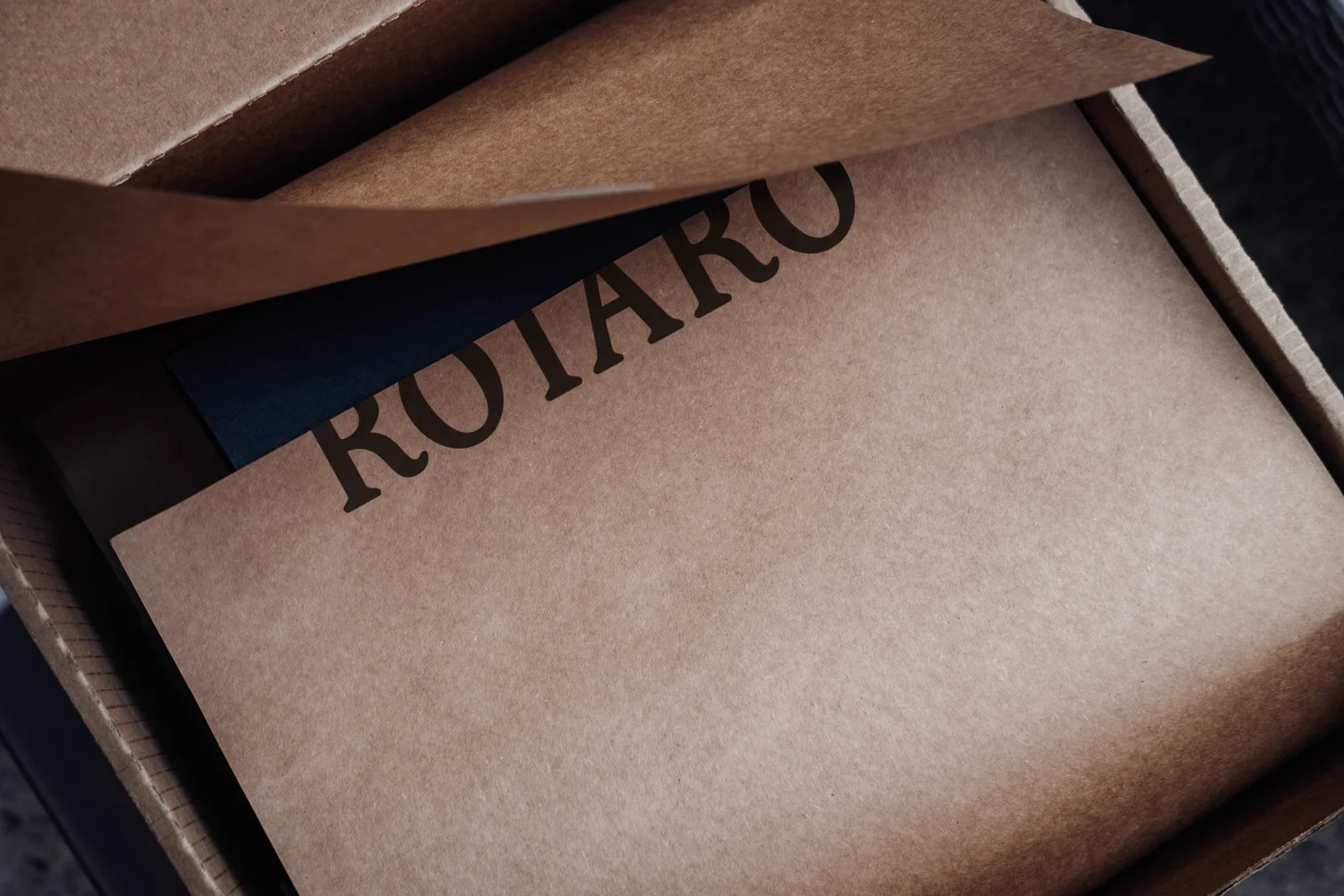 Identity Design for UK Fashion Brand, Rotaro — Charlotte Fosdike