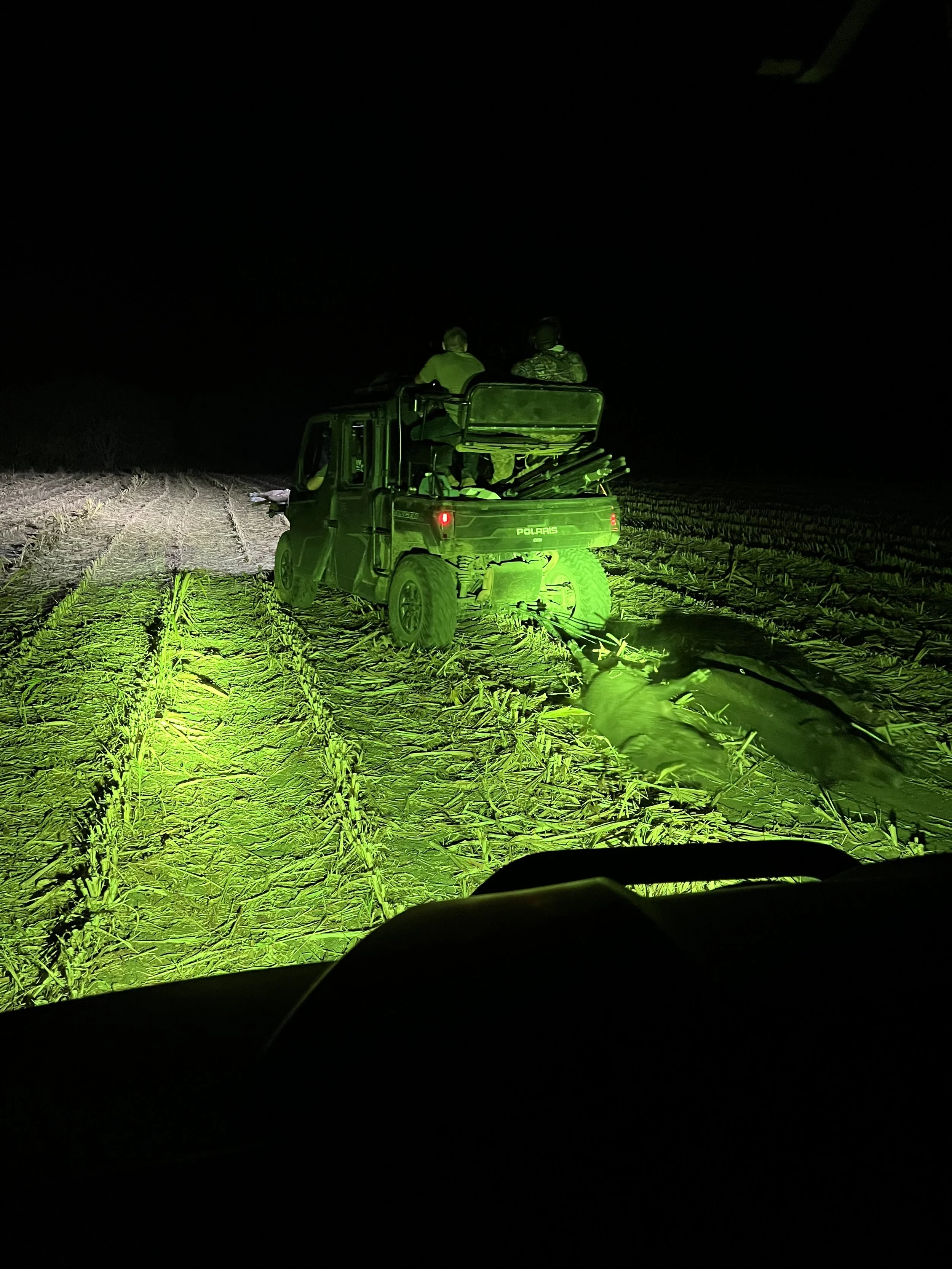 Pork Police | Guided Hog & Pig Hunting in North Texas | Guided Hog ...