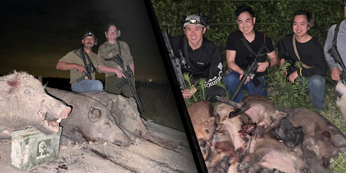 Best Caliber for Wild Hog Hunting | Enhance Your Hunt — Book Now — Pork ...