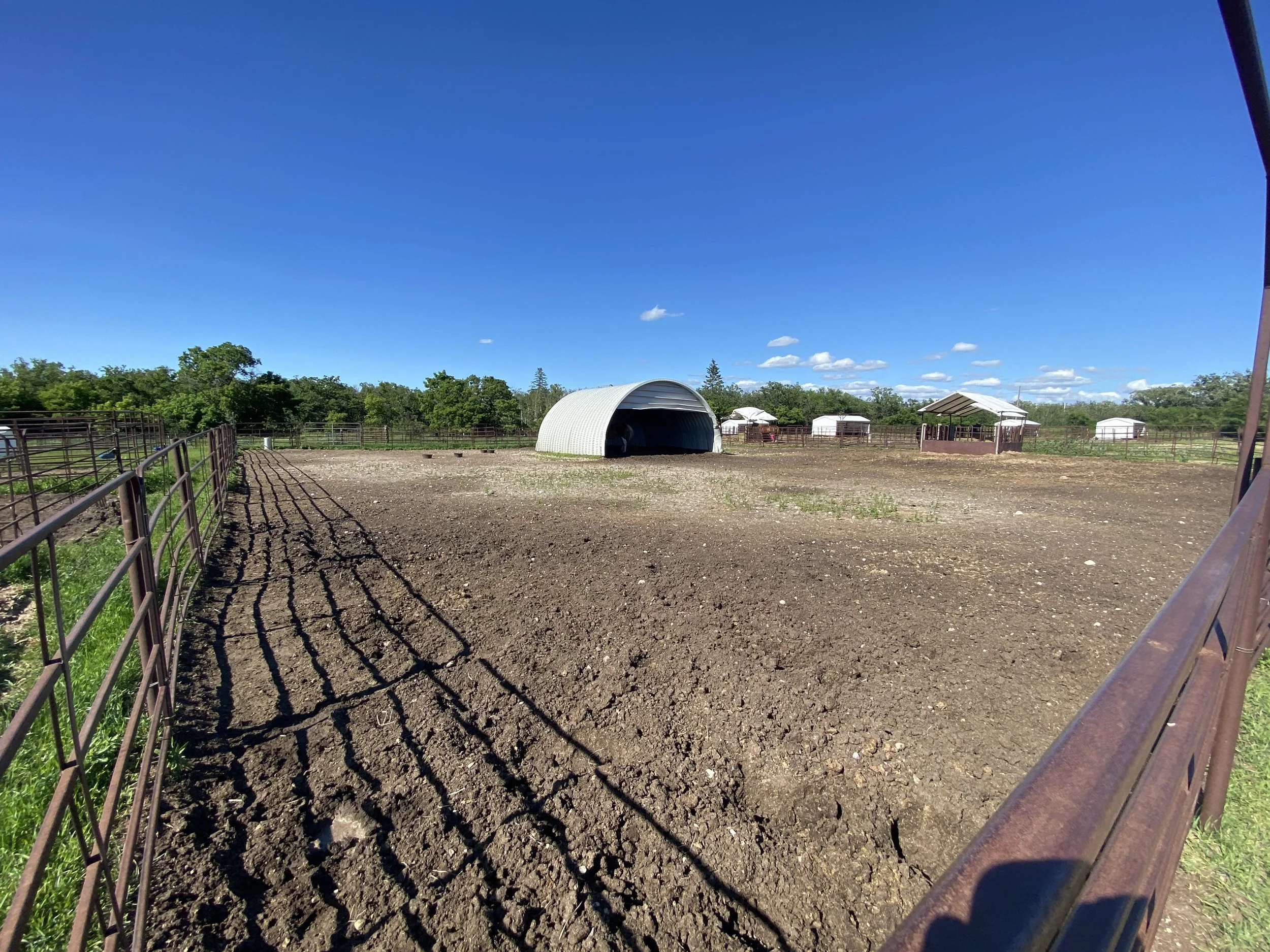 Boarding Memberships — Miracle Ranch