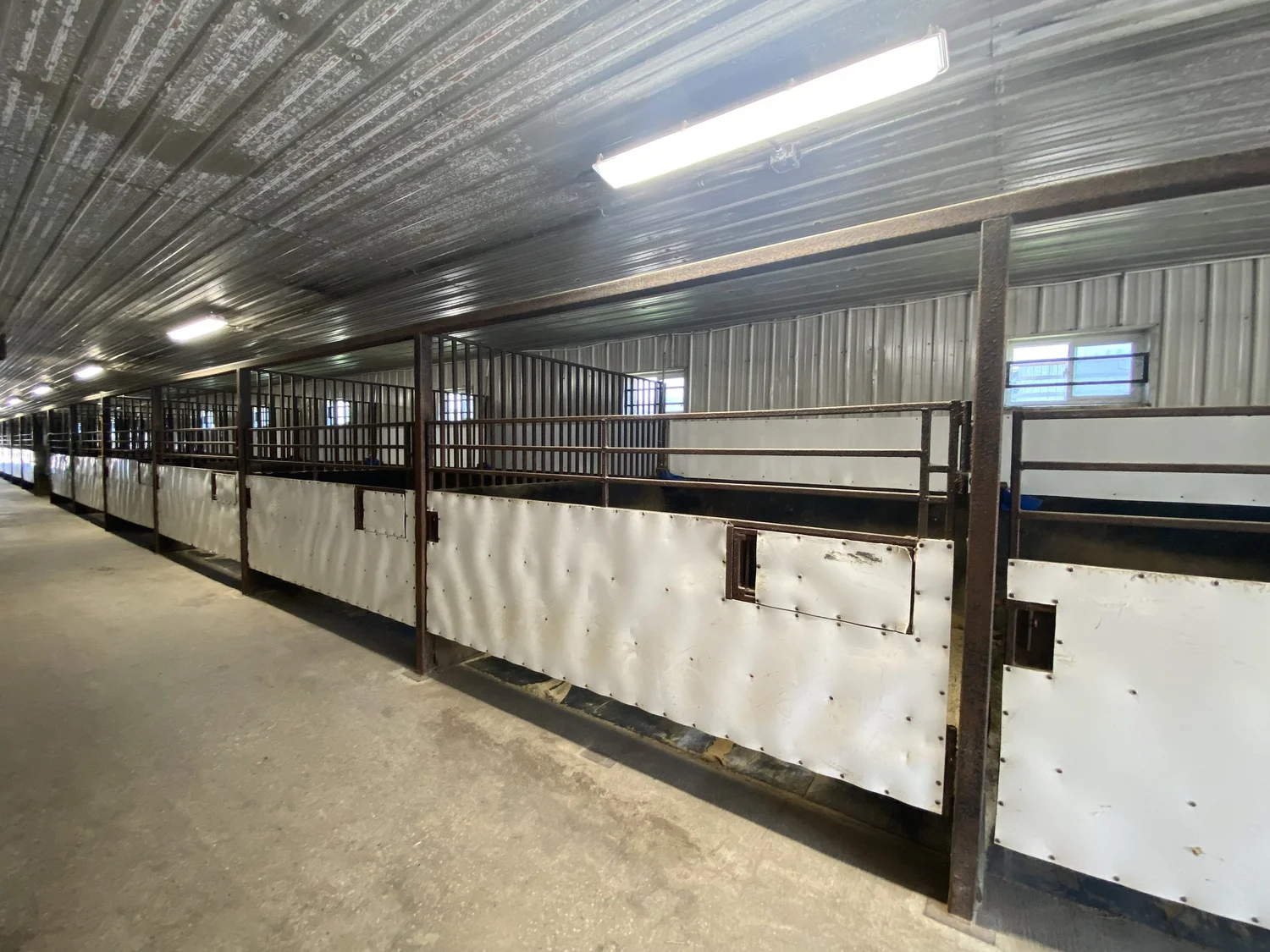 Boarding Memberships — Miracle Ranch