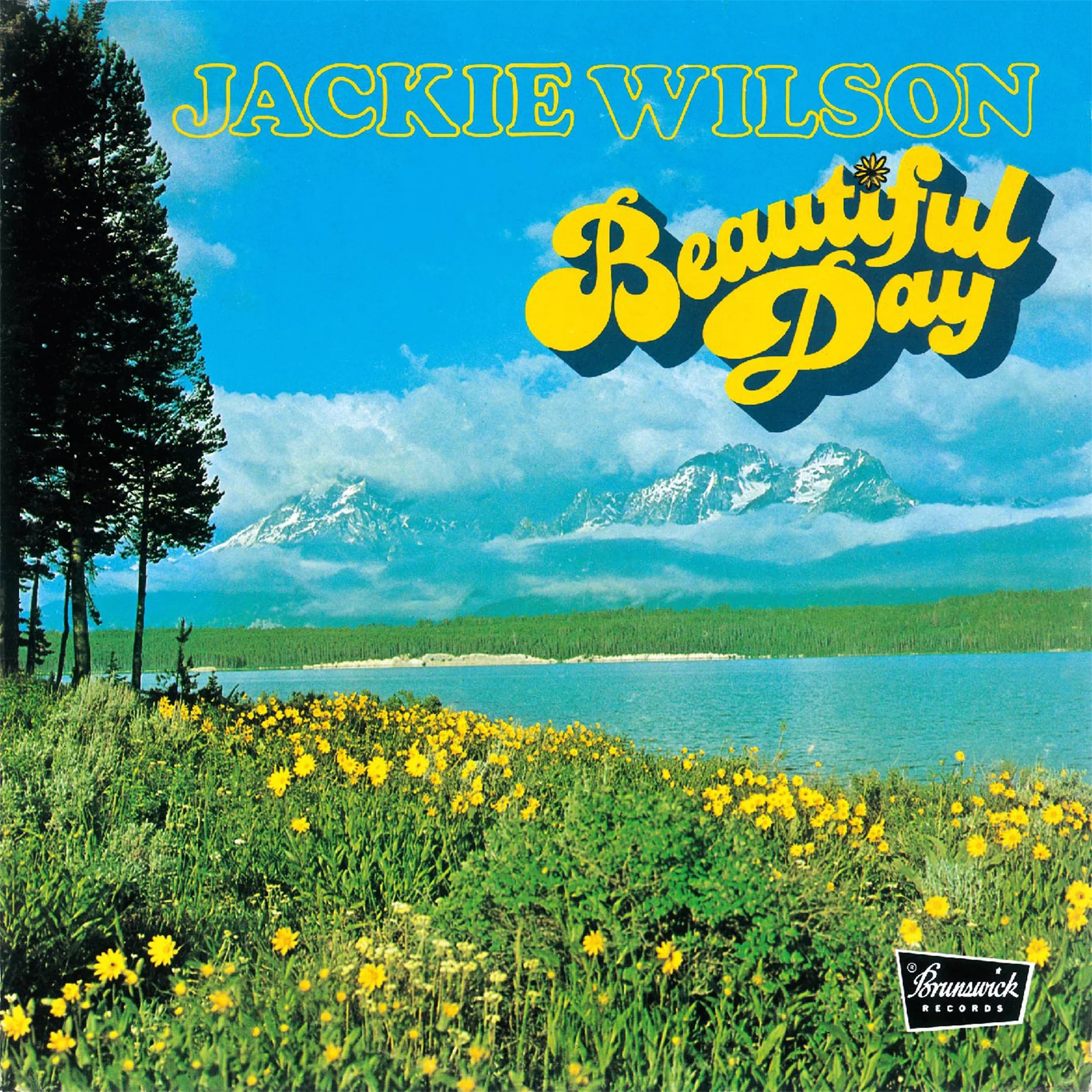 Jackie Wilson — Brunswick Records