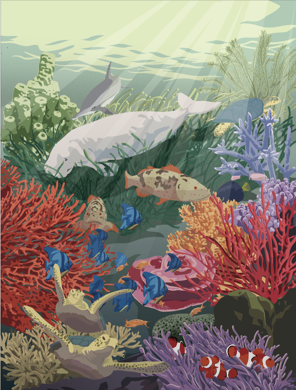 Environment Agency, Abu Dhabi | Corporate | Capsule Arts