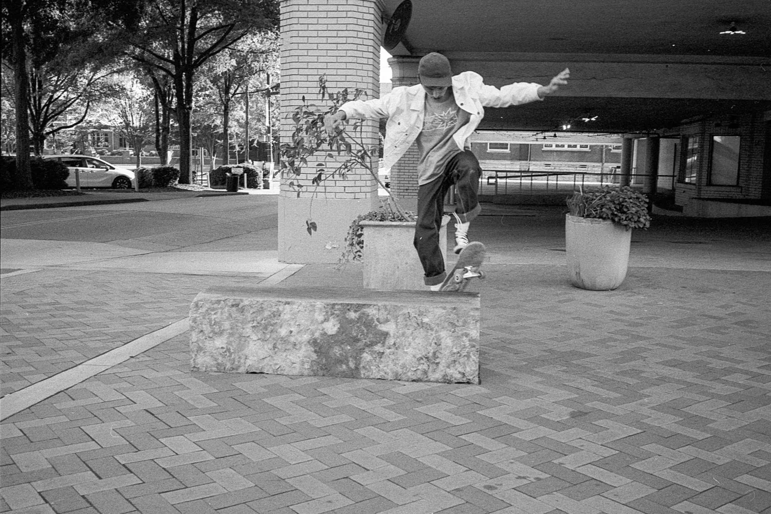 will sutton