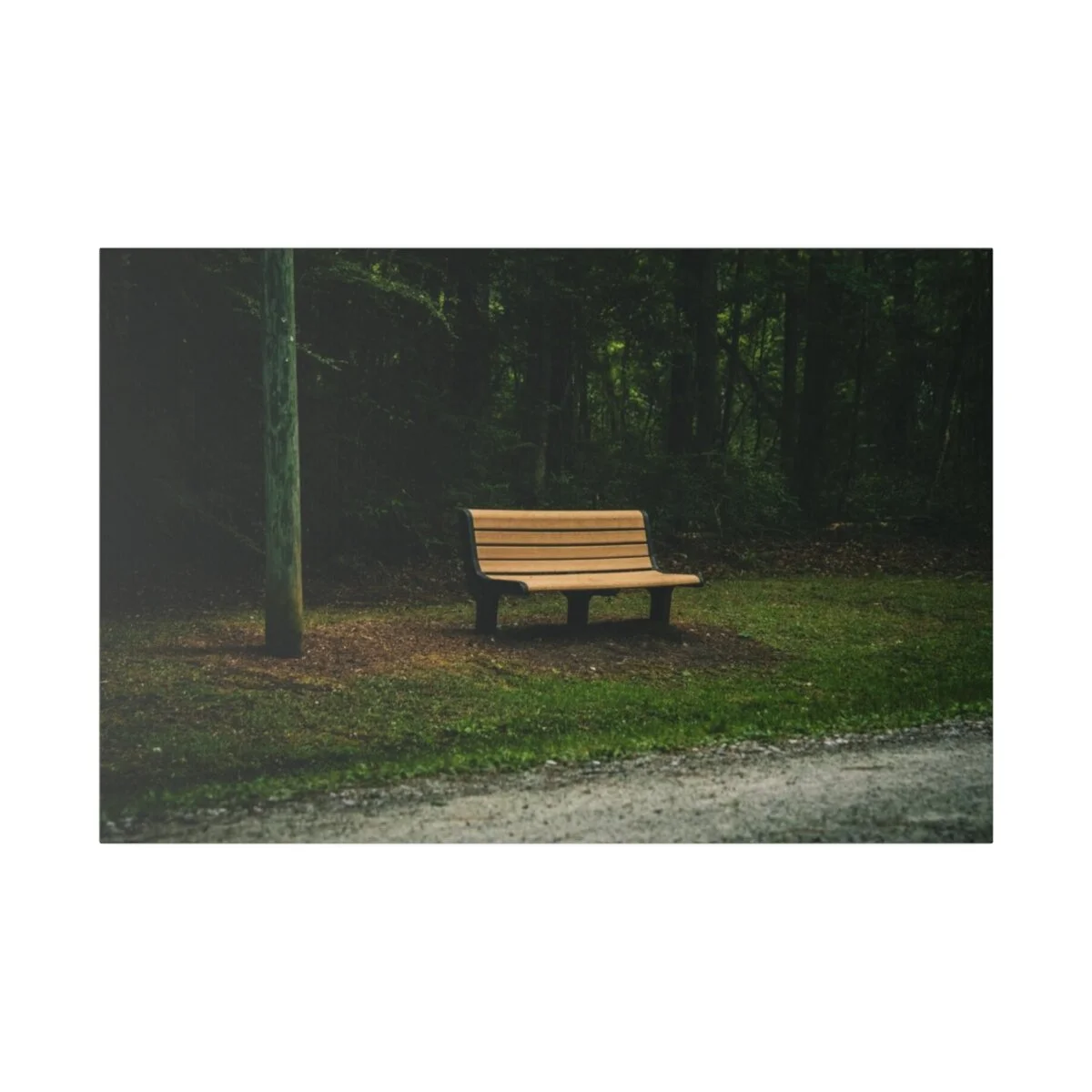 Store 1 — Dead Shutter Designs