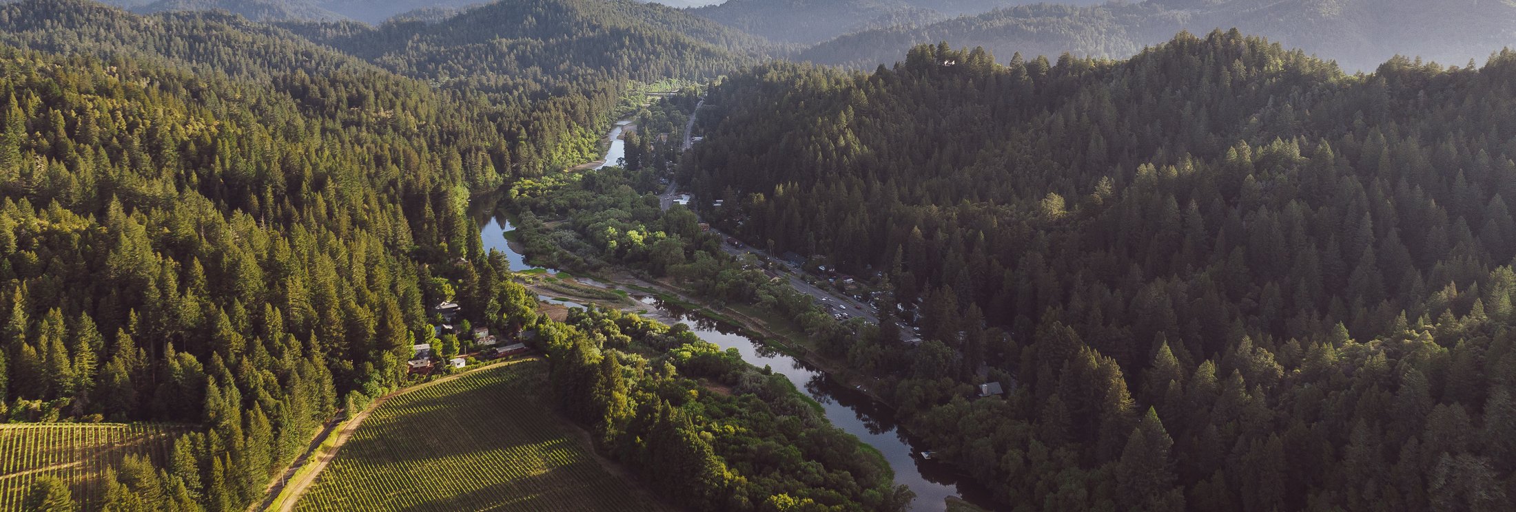 WHO WE ARE | Join Our River Revival Efforts — Russian River Confluence