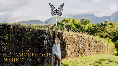 The Metamorphosis Project - Resources — Yiz Mariposa