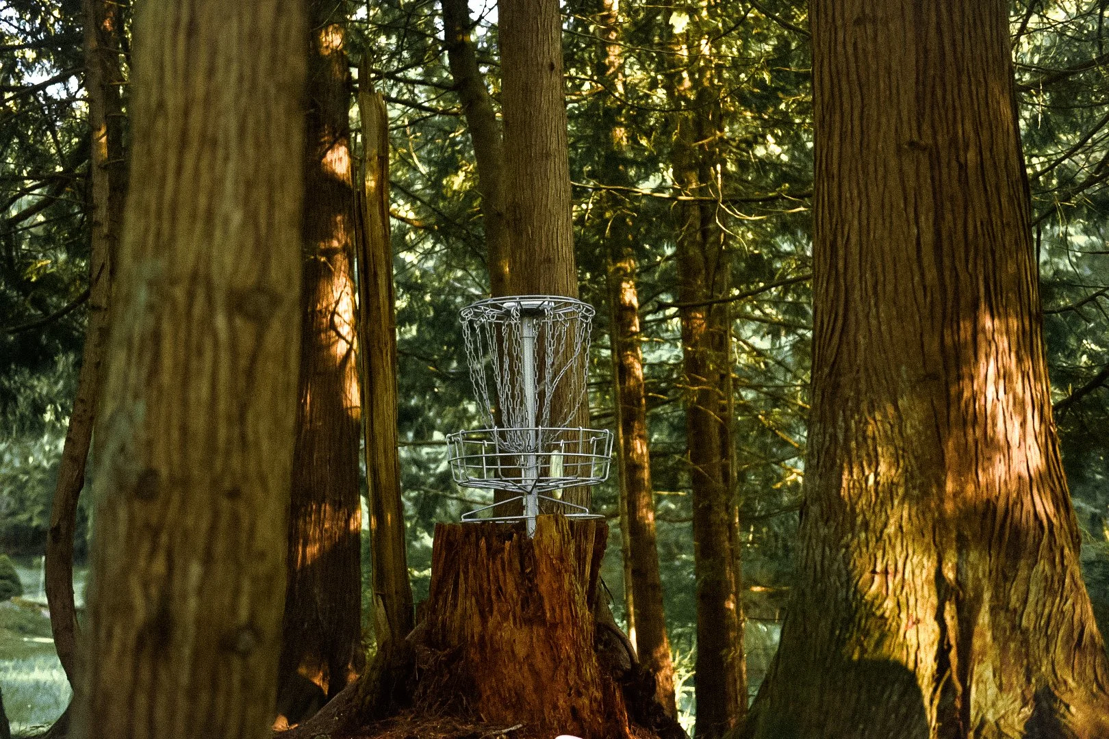 Far From Par Disc Golf