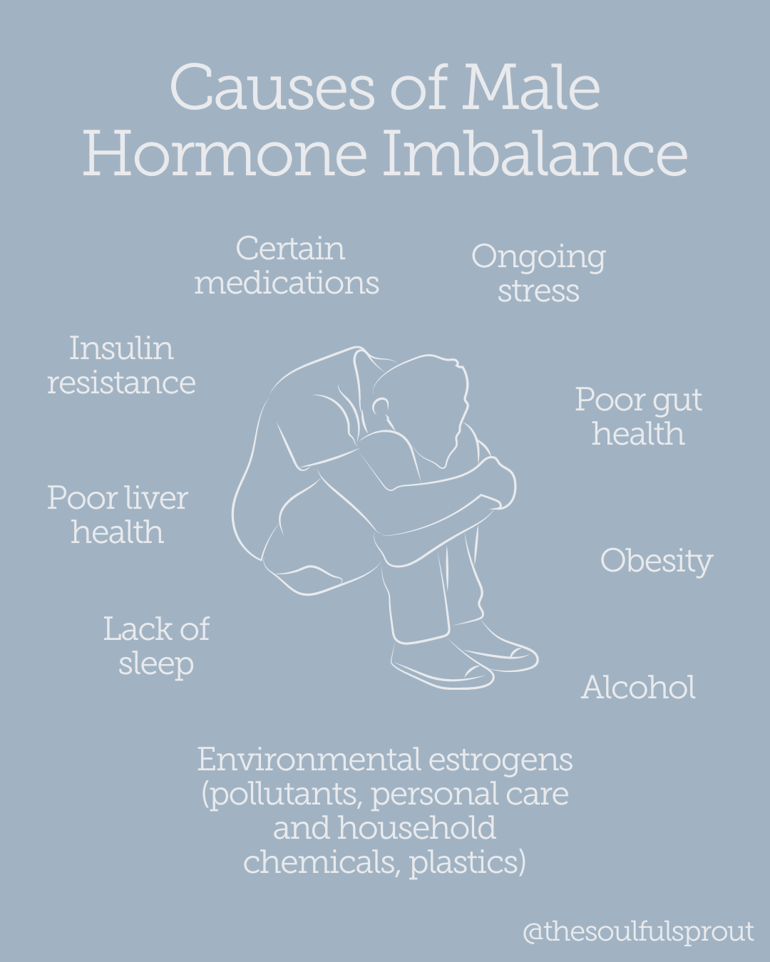 Men's Hormone Health & Nutrition — The Soulful Sprout Hormone Nutritionist