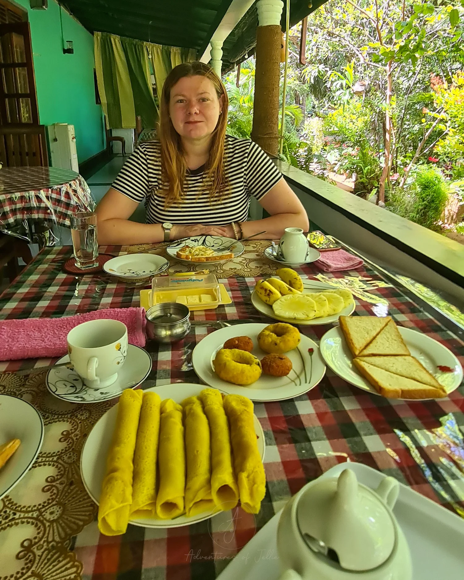 A Guide To Sigiriya - The Town At The Base Of The Lion's Rock — Adventures of Jellie