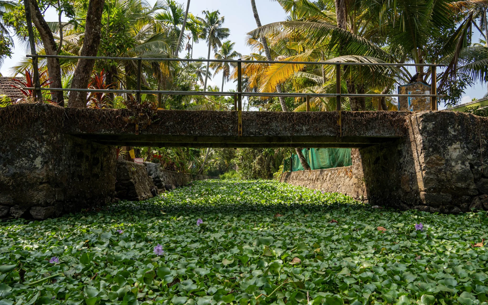 A guide to Alleppey, the backwaters of Kerala - boats, houseboats and ...