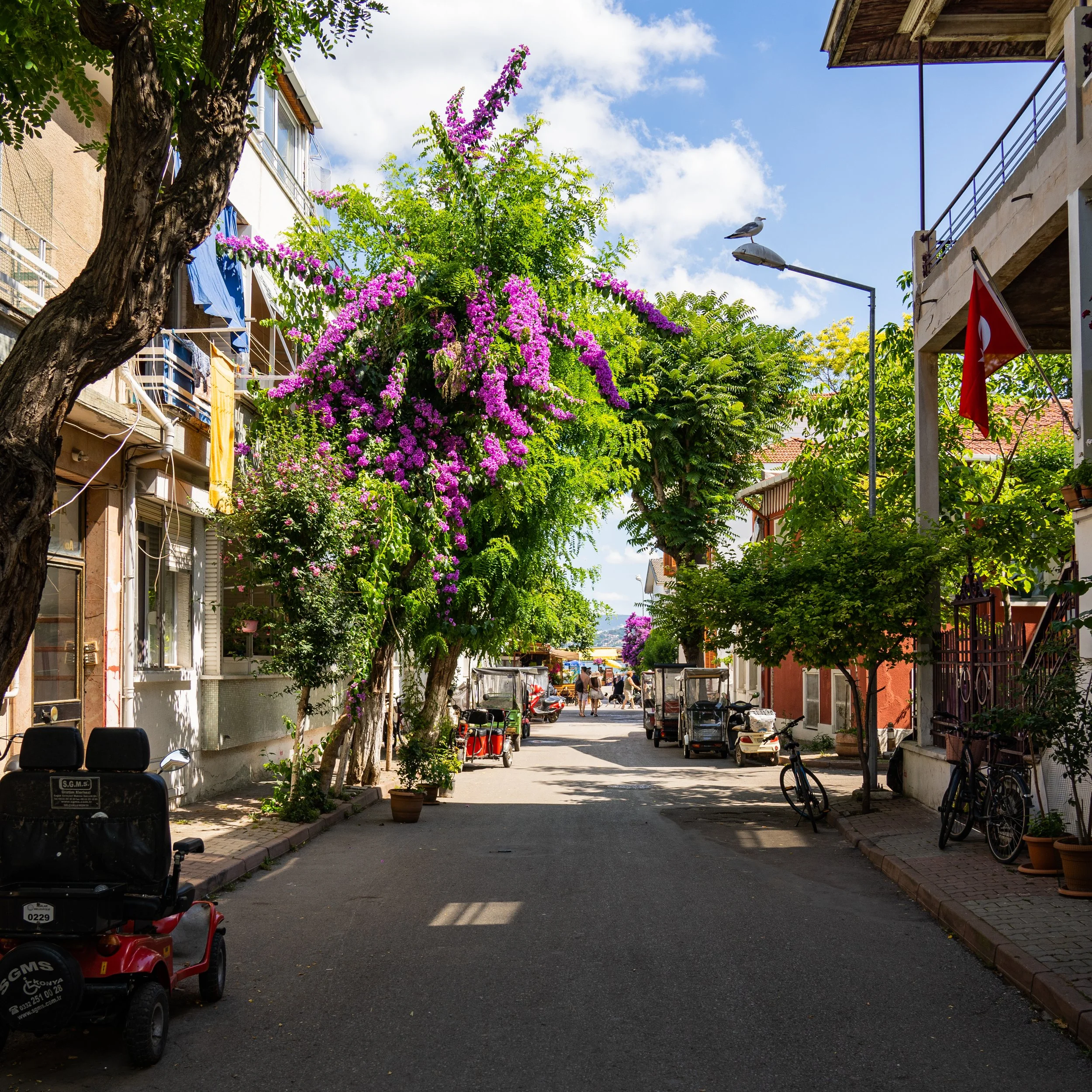Büyükada, The Princes Islands - A Day Trip From Istanbul — Adventures ...