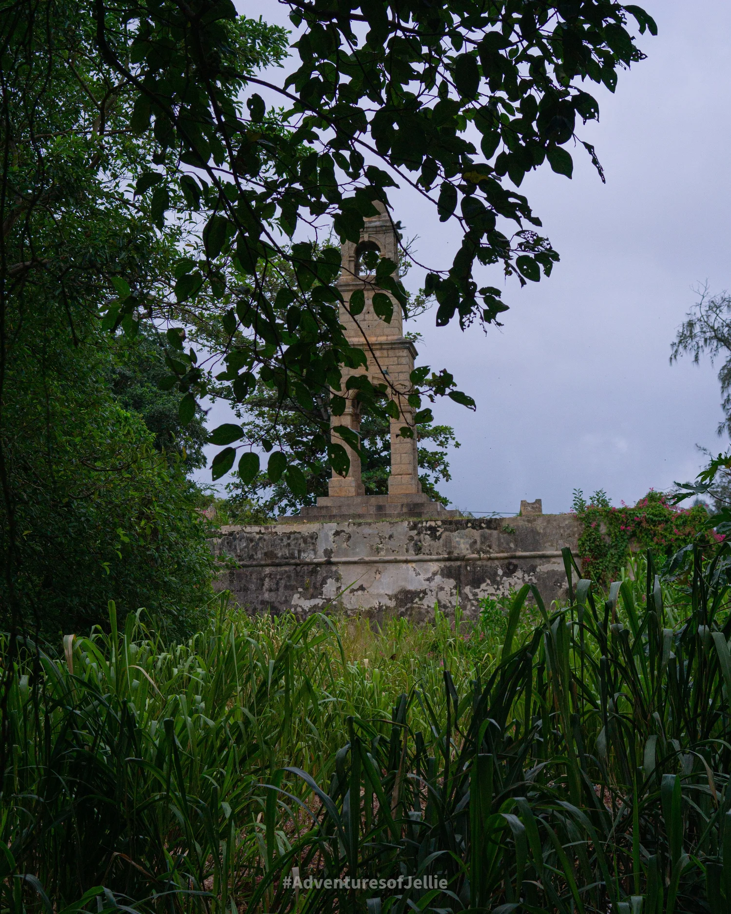 Negombo - Our Guide to Things to Do — Adventures of Jellie