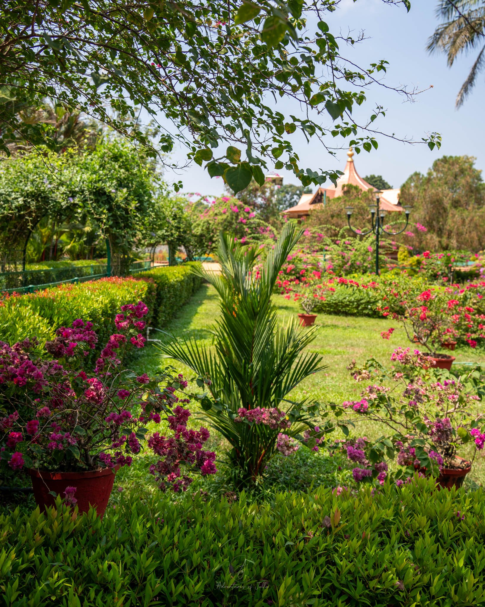 24 Hours In Trivandrum - What To Do In Kerala’s Capital — Adventures of ...