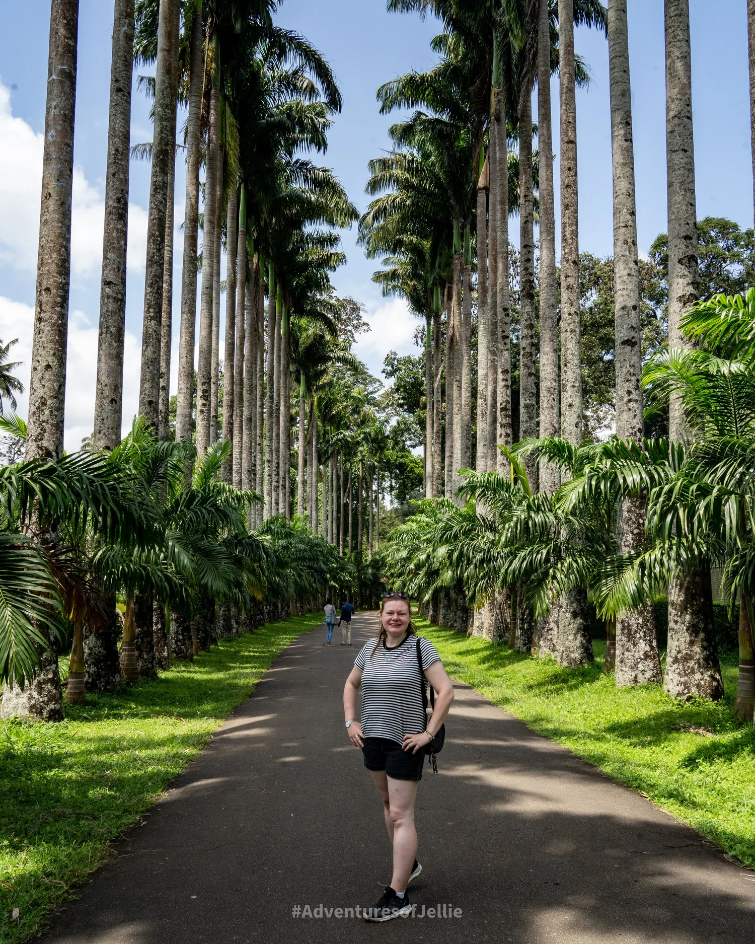 What to do in Kandy - Our Guide to Sri Lanka's Ancient Capital ...