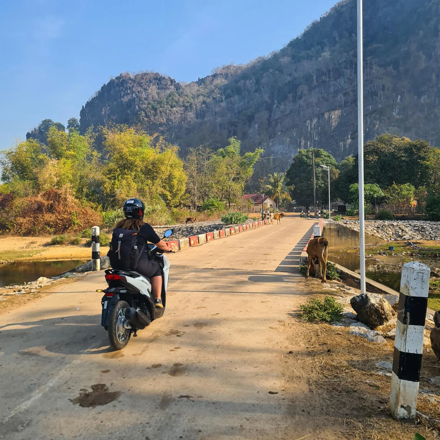 Riding the Thakhek Loop - The Ultimate Guide — Adventures of Jellie