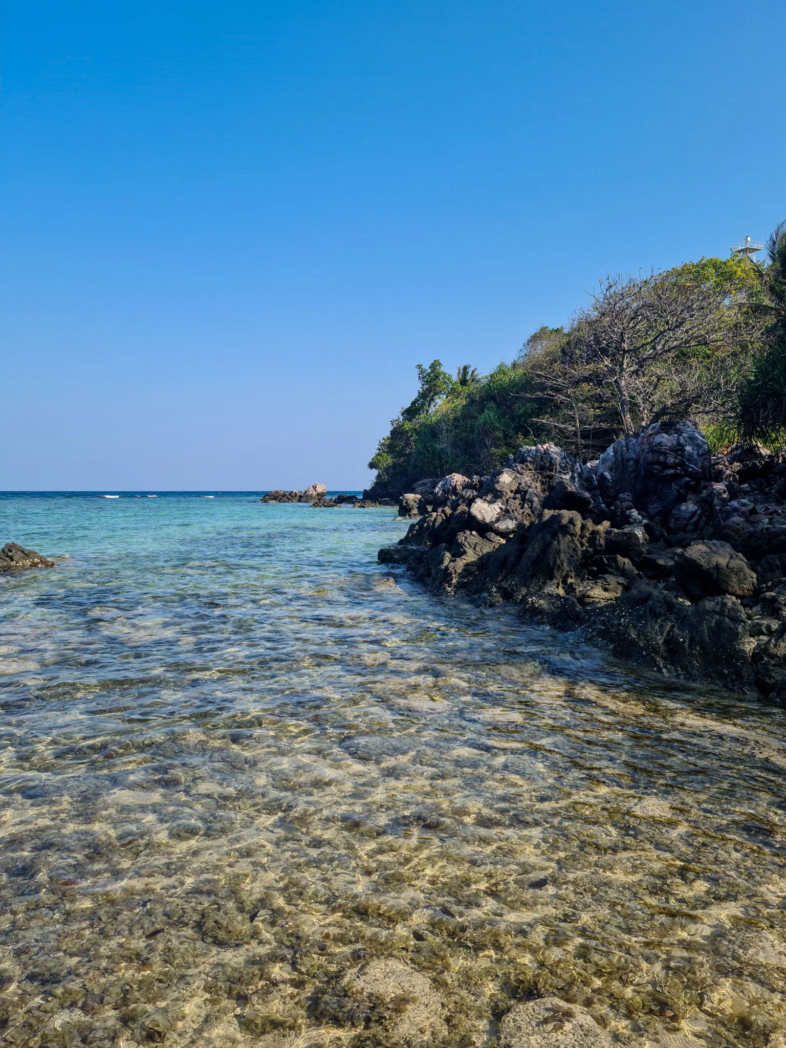 A Guide To Karimunjawa - Indonesia's Undiscovered Island Paradise ...