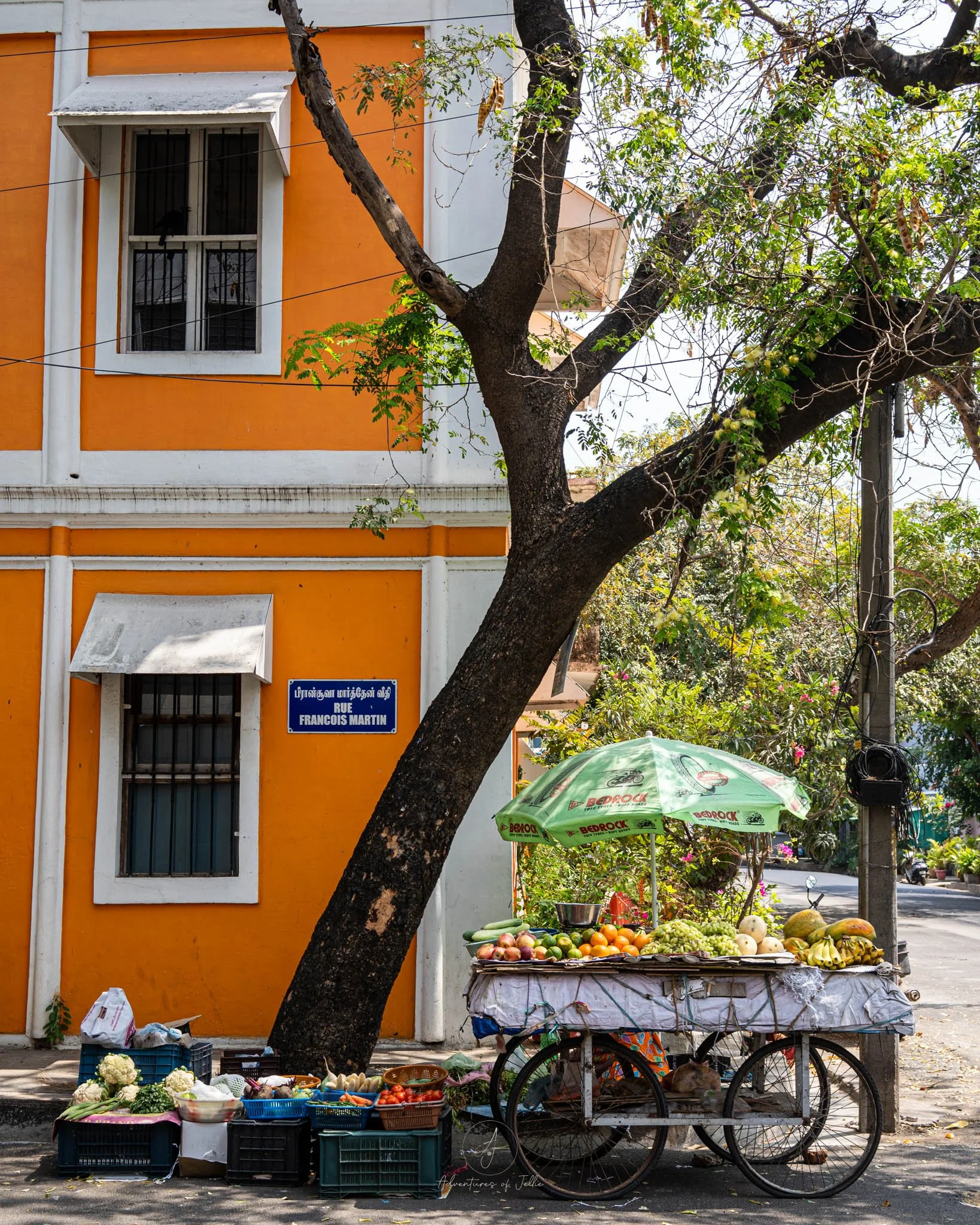 The Complete Travel Guide to Pondicherry — Adventures of Jellie