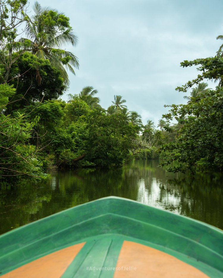 Negombo - Our Guide to Things to Do — Adventures of Jellie