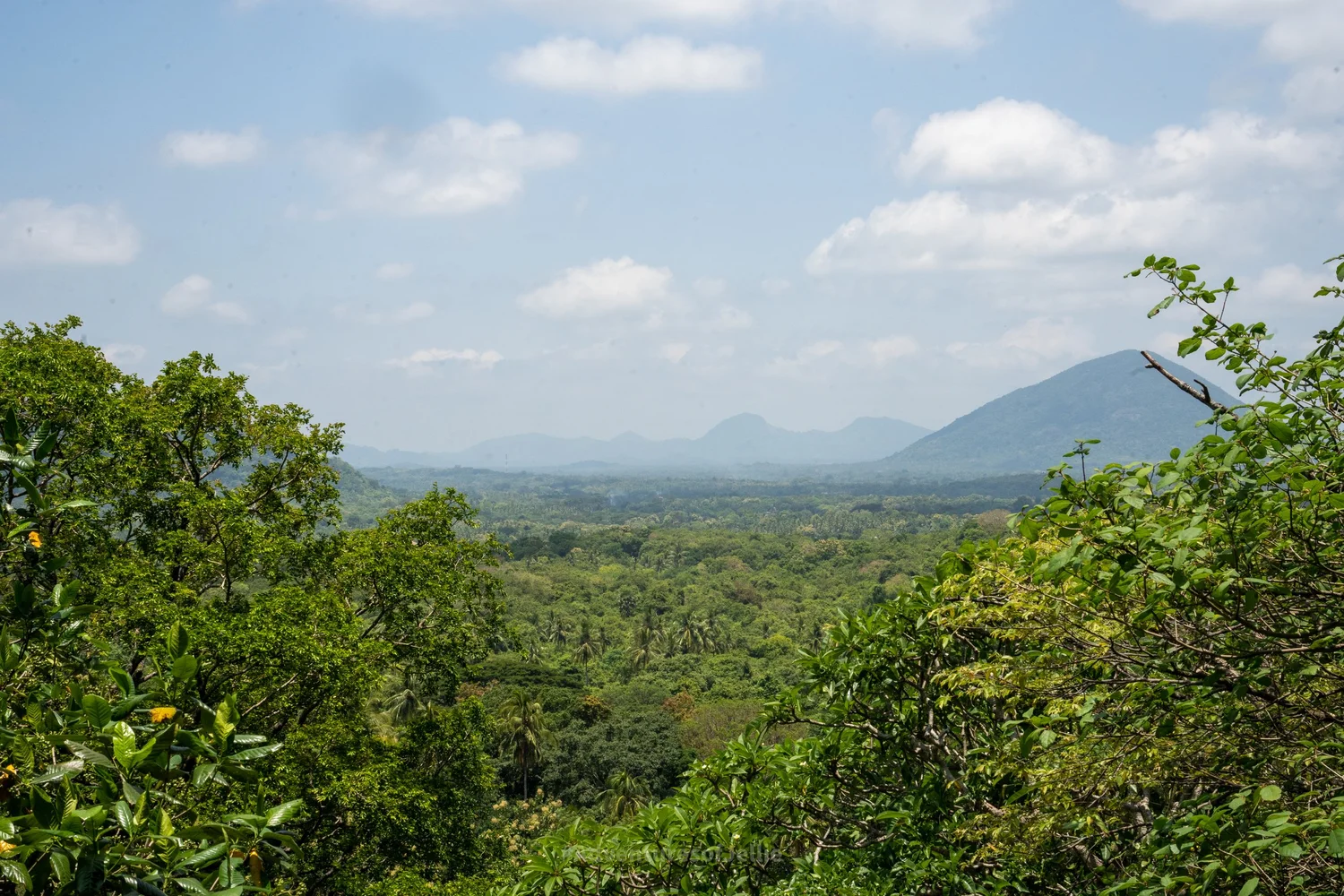 The Royal Cave Temples of Dambulla - A Complete Guide. — Adventures of ...