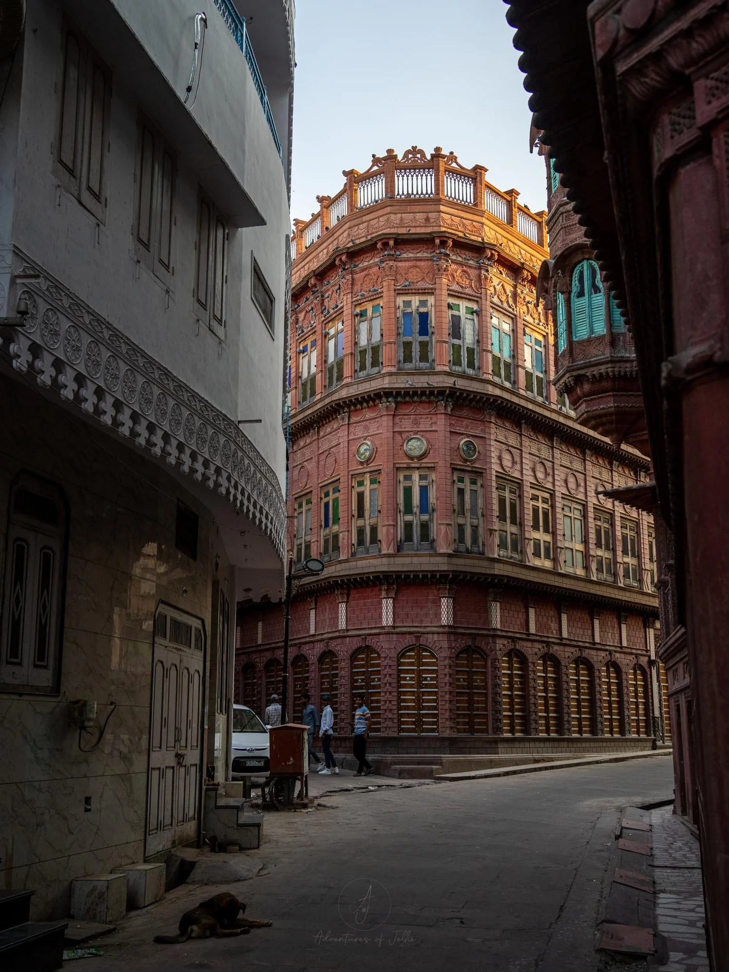 The Complete Guide To Bikaner — Adventures of Jellie