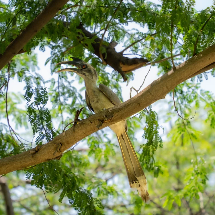 The Sunder Nursery - Delhi’s Secret Garden — Adventures of Jellie