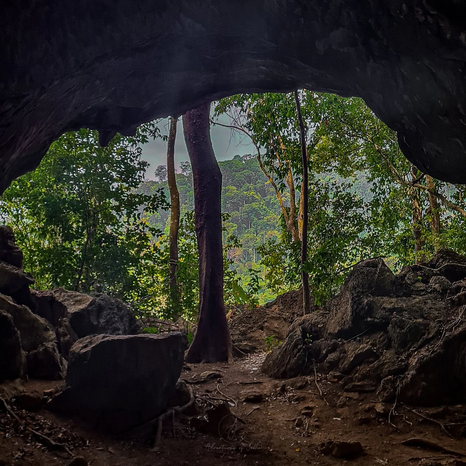 The Complete Travel Guide to Koh Libong — Adventures of Jellie