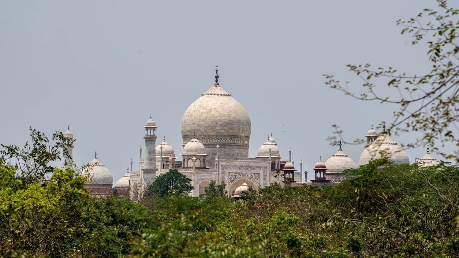 The Taj Nature Walk - Agra Beyond the Taj Mahal — Adventures of Jellie