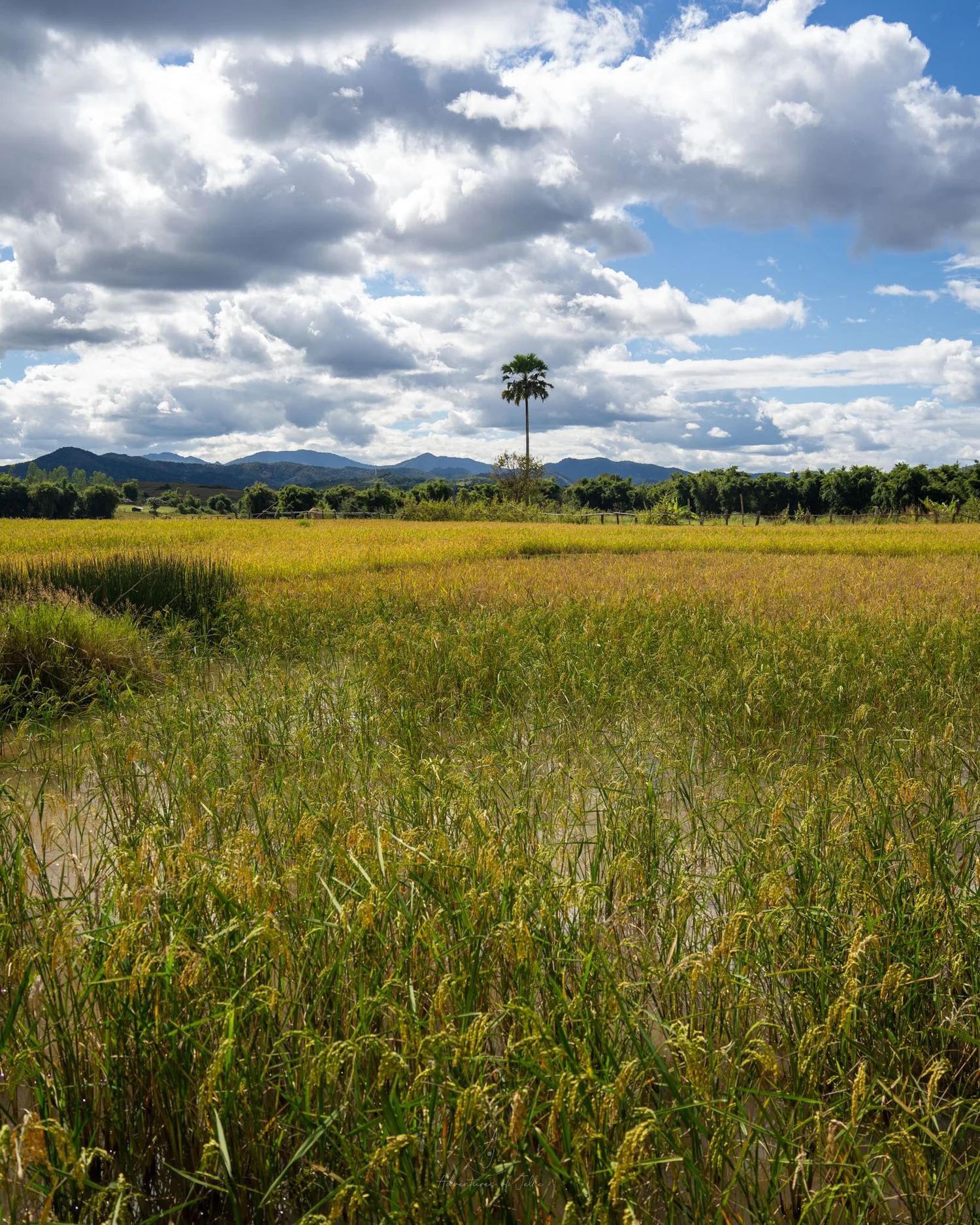 The Plain of Jars and Phonsavan Town - The Complete Guide — Adventures ...