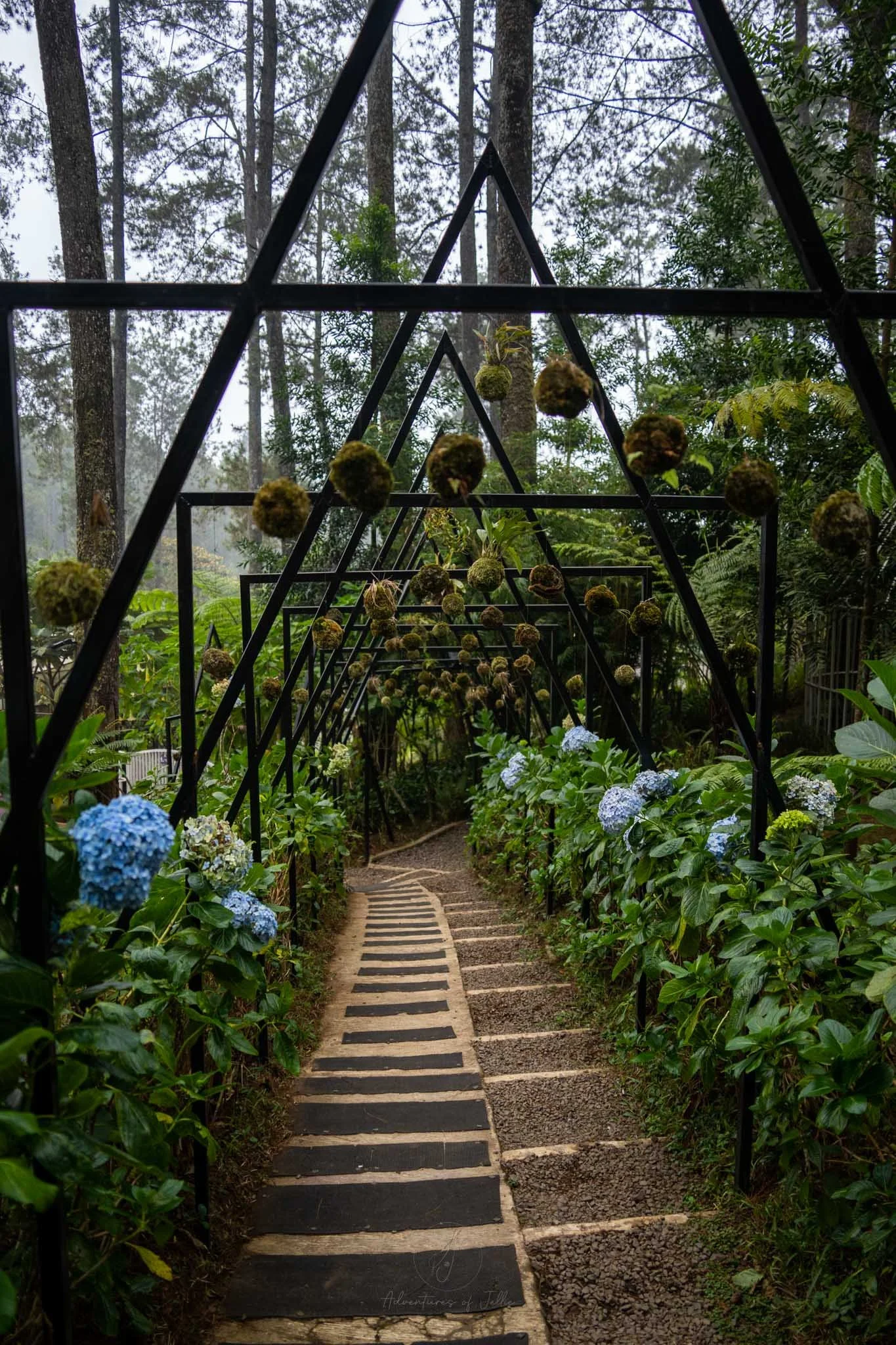 The Orchid Forest Of Cikole - A Great Day Out From Bandung — Adventures ...