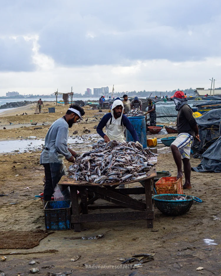 Negombo - Our Guide to Things to Do — Adventures of Jellie