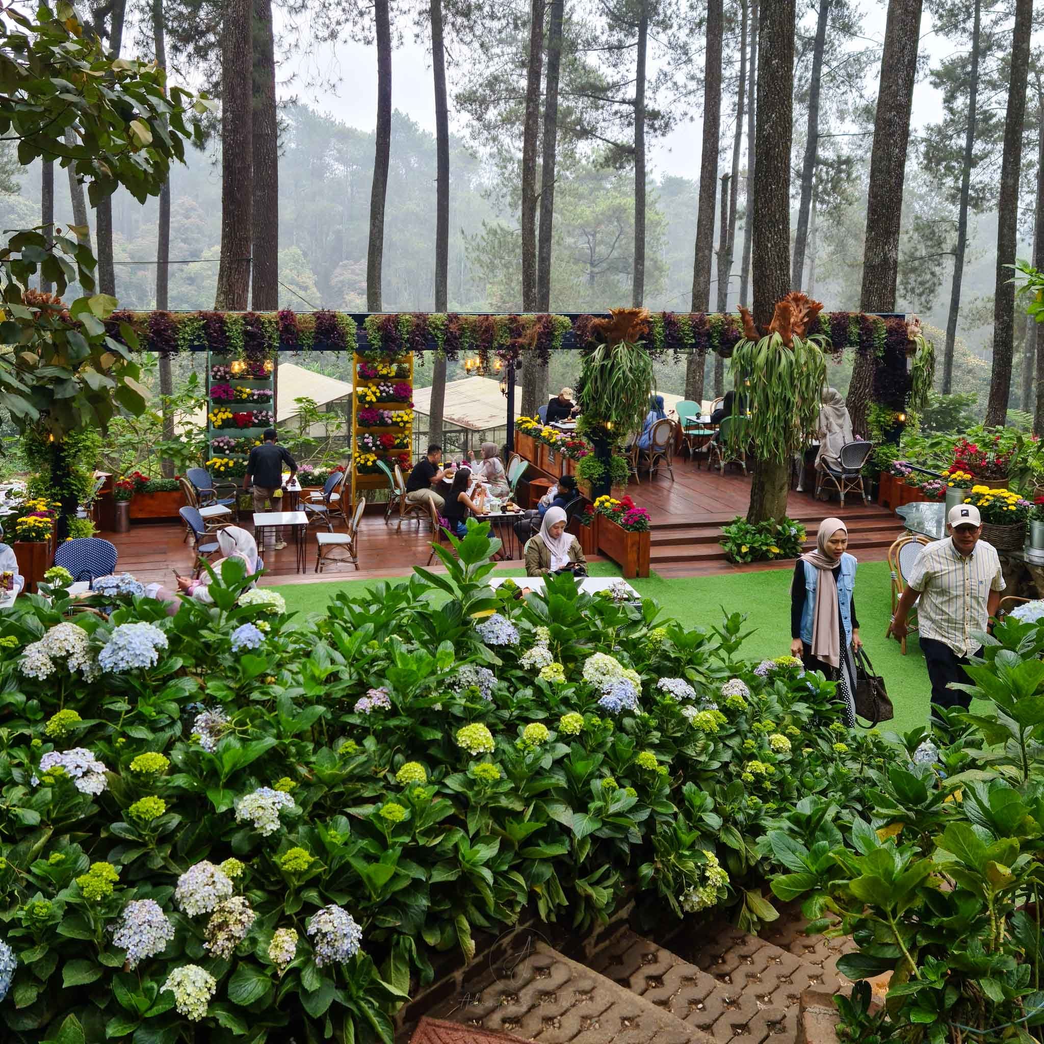The Orchid Forest Of Cikole - A Great Day Out From Bandung — Adventures ...