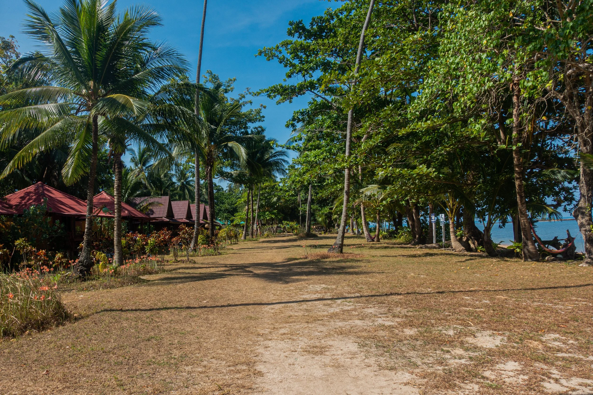 The Complete Travel Guide to Koh Libong — Adventures of Jellie