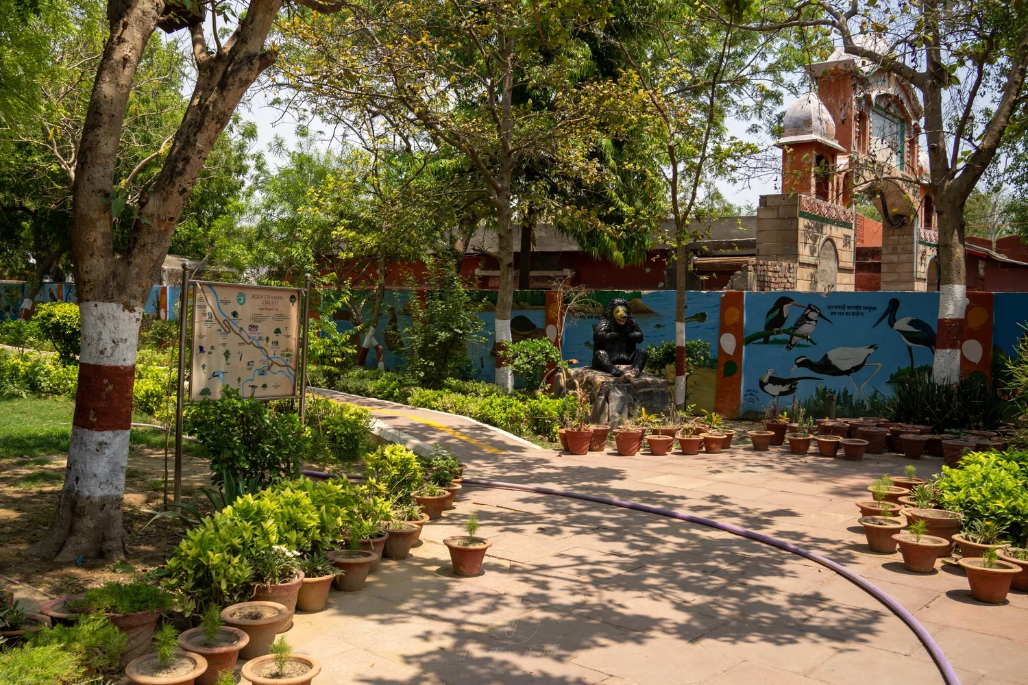 The Taj Nature Walk - Agra Beyond the Taj Mahal — Adventures of Jellie
