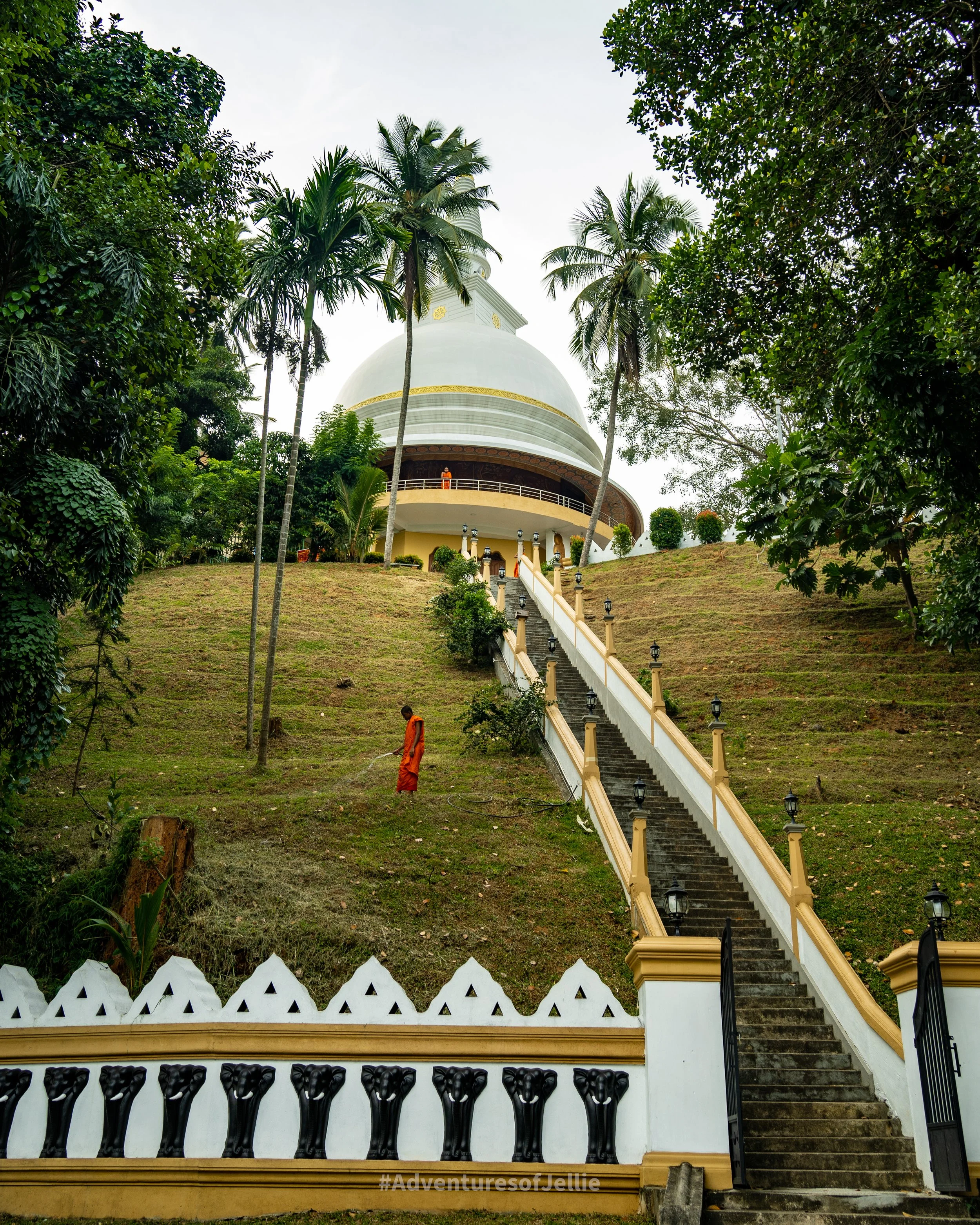 What to do in Kandy - Our Guide to Sri Lanka's Ancient Capital ...