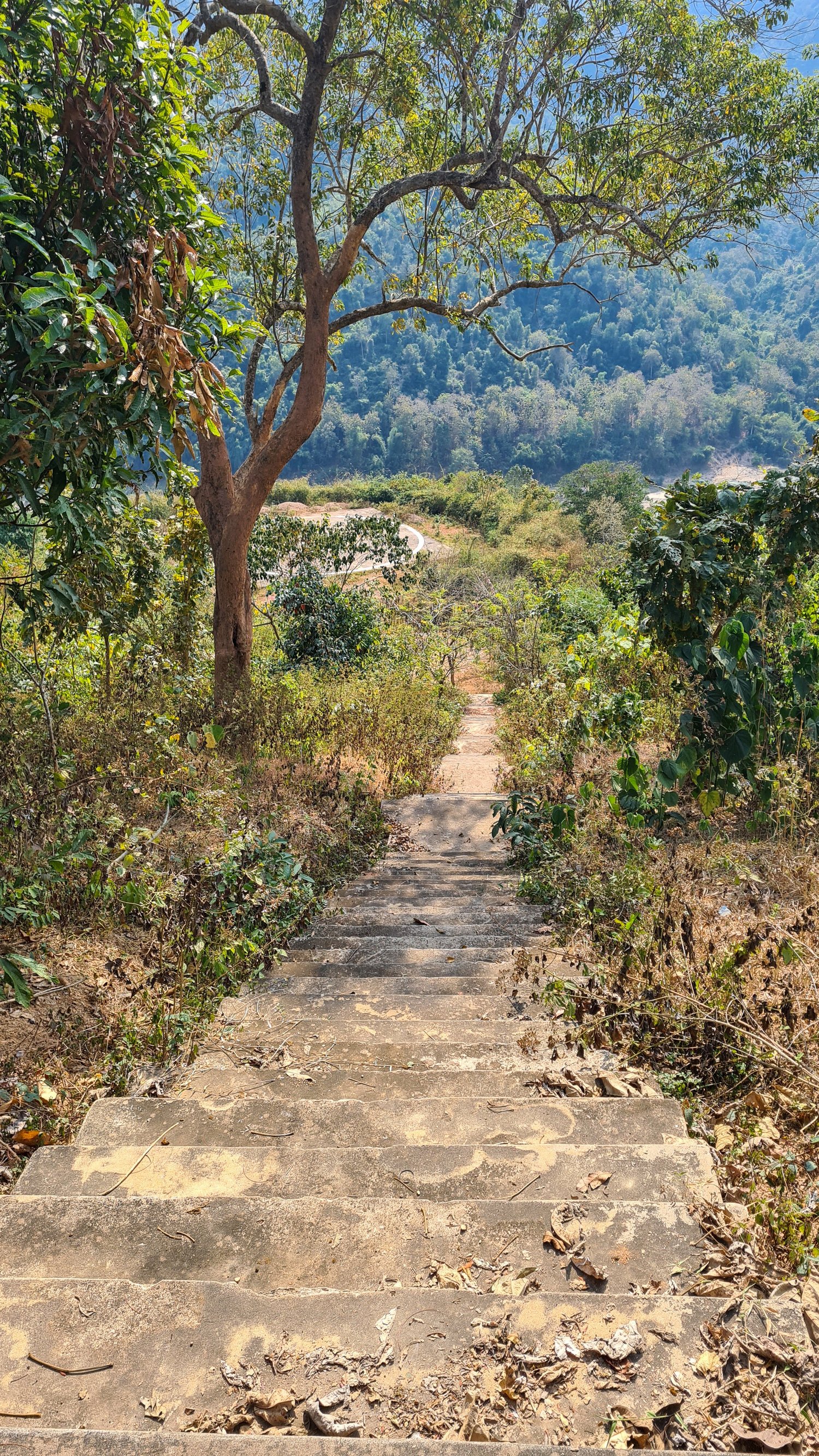 Pakbeng A Complete Guide - What To Do, Where To Stay and What To Eat ...