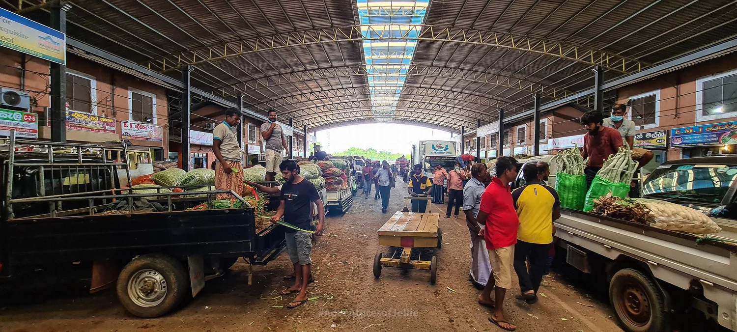 The Royal Cave Temples of Dambulla - A Complete Guide. — Adventures of ...