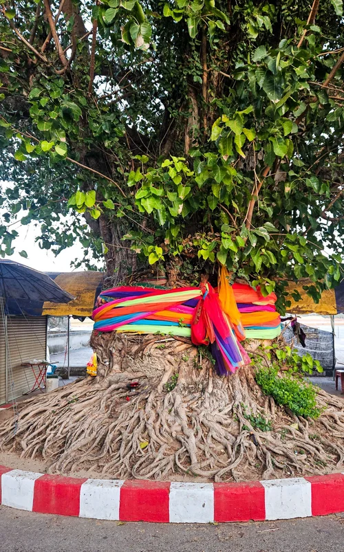 The Complete Travel Guide to Mukdahan, Isan — Adventures of Jellie