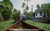 A guide to Alleppey, the backwaters of Kerala - boats, houseboats and ...