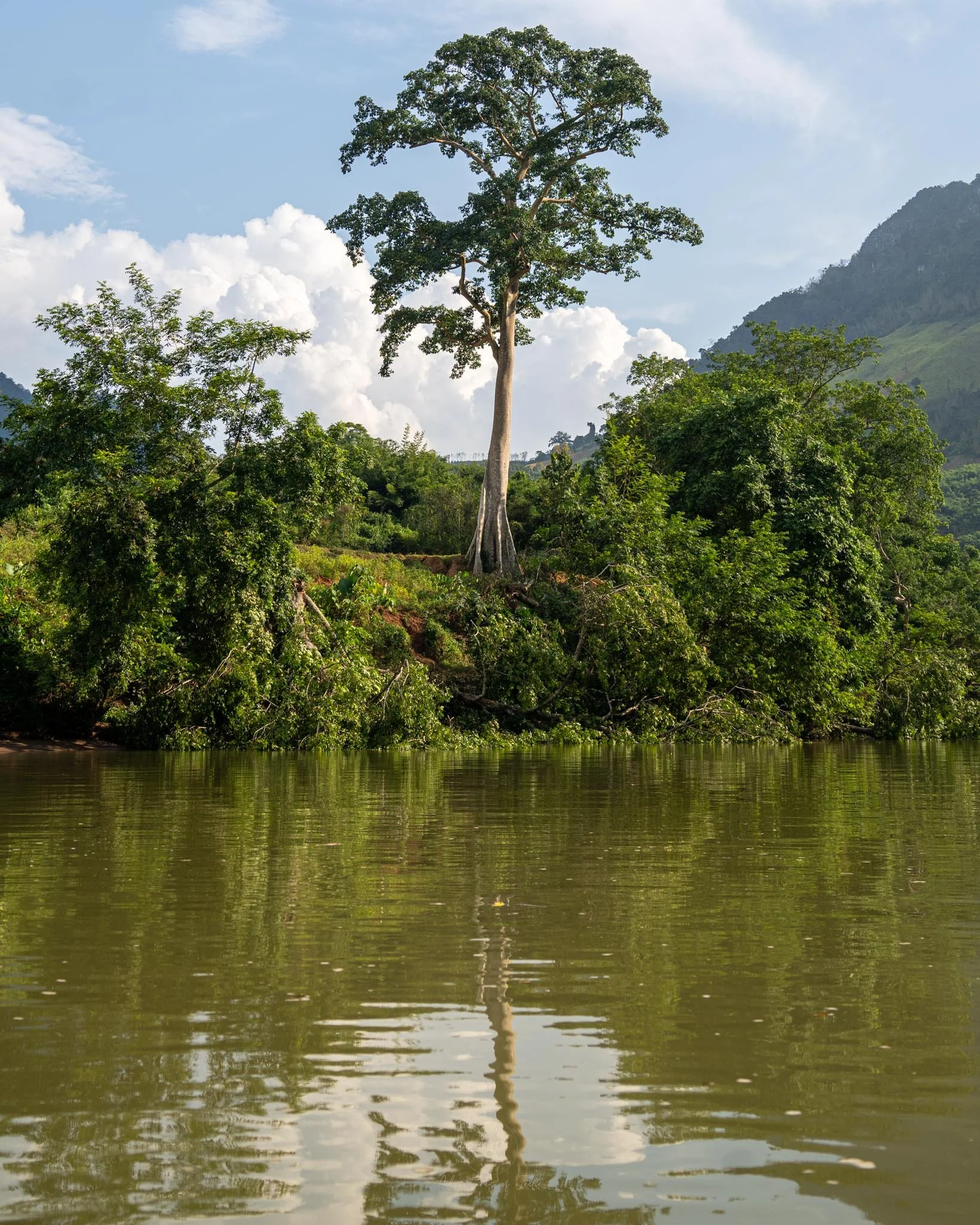 Tad Mok Waterfall - A Hidden Gem in Northern Laos — Adventures of Jellie