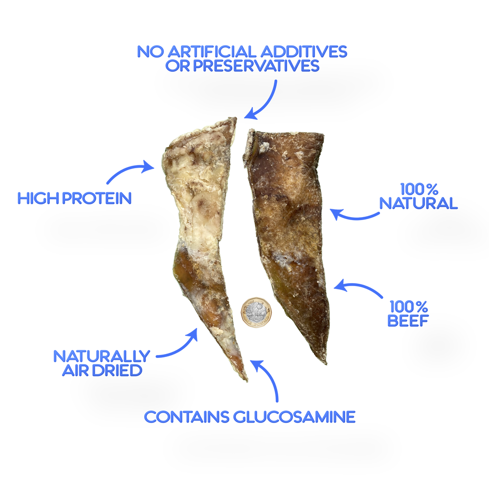 Beef Cartilages (Moon Bones) — Canine Commando Club