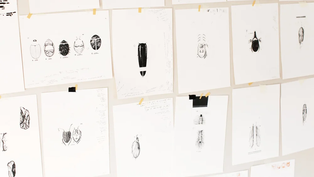 Morphing Memory — Bianca Barandun